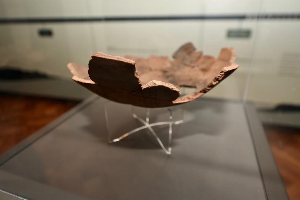 “Renaico, arqueología entre árboles y viento” | Museo Regional de la ...